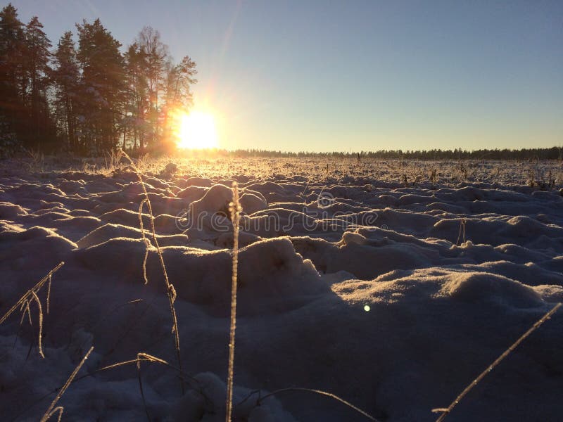 Russian winter stock image. Image of russian, sunset - 63043497