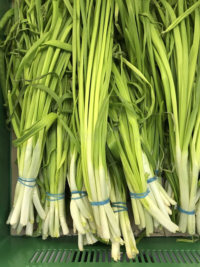 Famille d'oignon image stock. Image du abondance, ampoule - 8686541