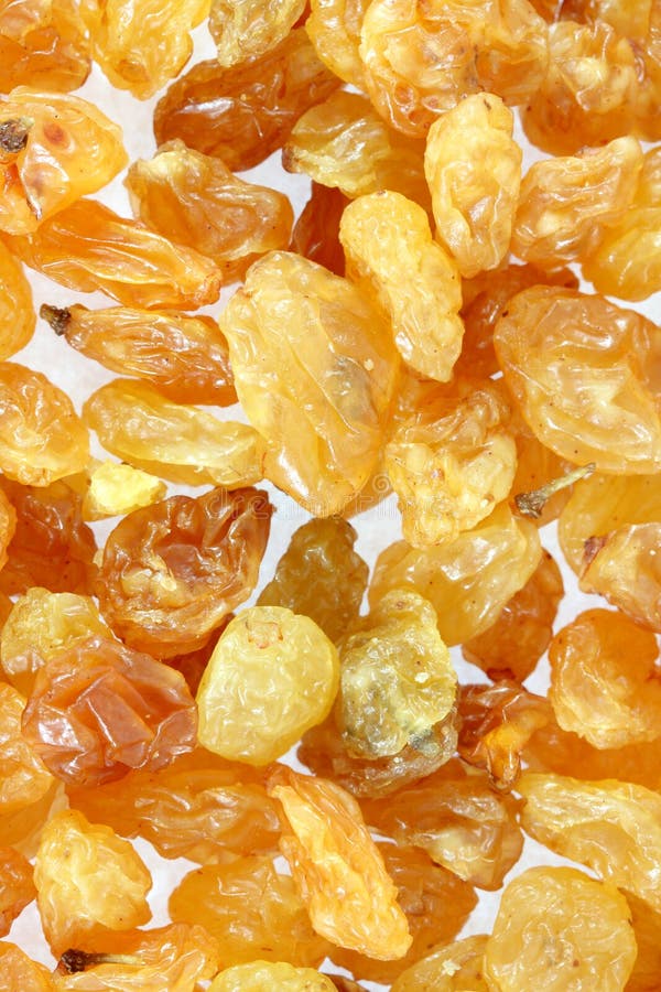 Stora gula russin arkivfoto. Bild av banta, natur, orange - 31205658