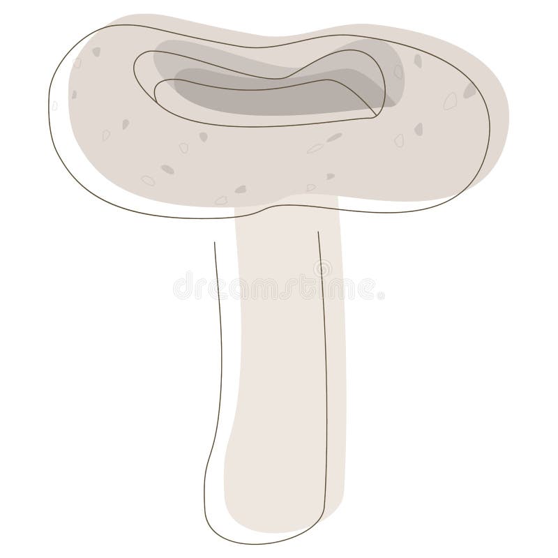 Russula Delica Mushroom. Edible Organic Mushrooms. Truffle Brown Cap ... Russula Delica Mushroom. Edible Organic Mushrooms. Truffle Brown Cap ...