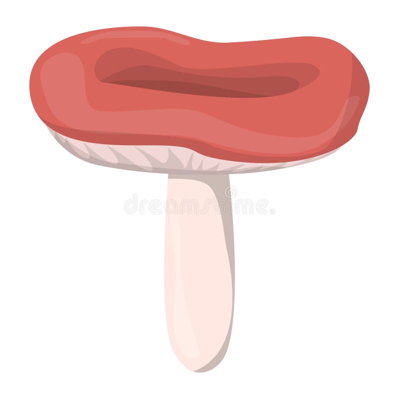Russula Mushroom. Edible Organic Mushrooms. Truffle Brown Cap. Forest ... Russula Mushroom. Edible Organic Mushrooms. Truffle Brown Cap. Forest ...