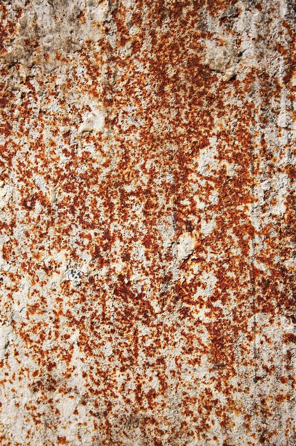 Rust 7 Picture. Image: 568744