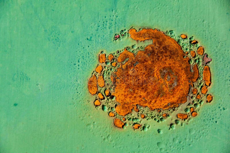 Sunflower Disc Florets stock photo. Image of annuus, disc - 5240548