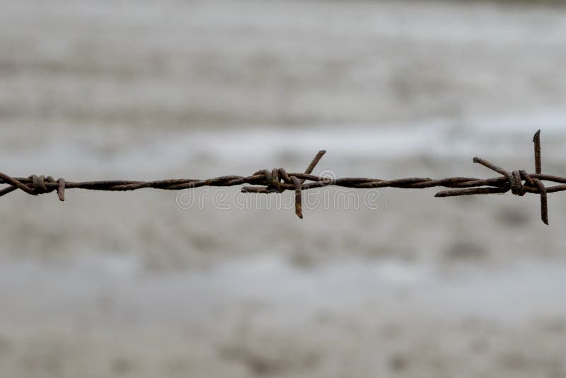 Rust Barbed Wire stock photo. Image of barrier, freedom - 103229622
