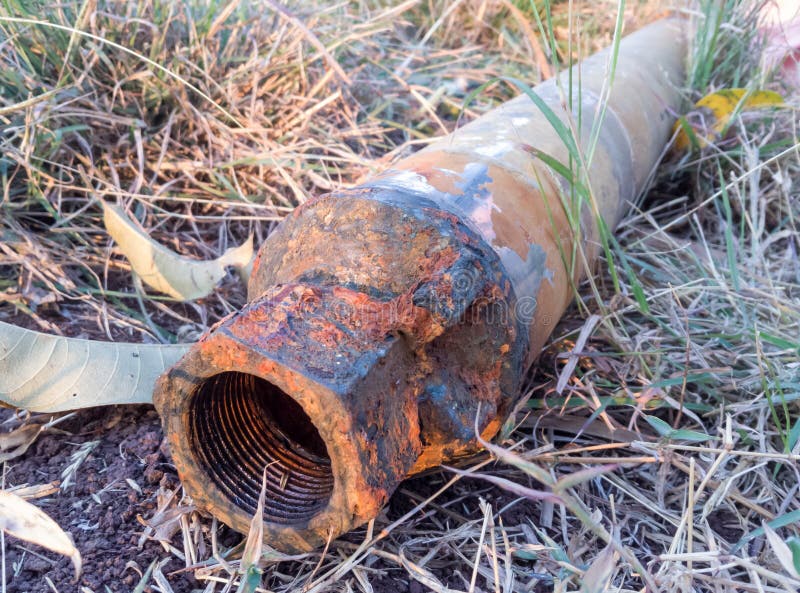 Rust of pipe. stock image. Image of plant, produce, woodland - 212994827