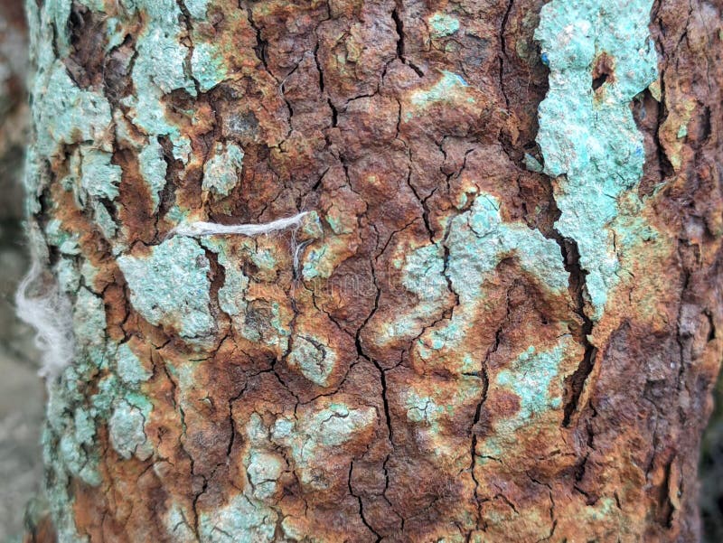 Rust Can Damage Even Iron Surfaces that Have Been Coated with Paint ...