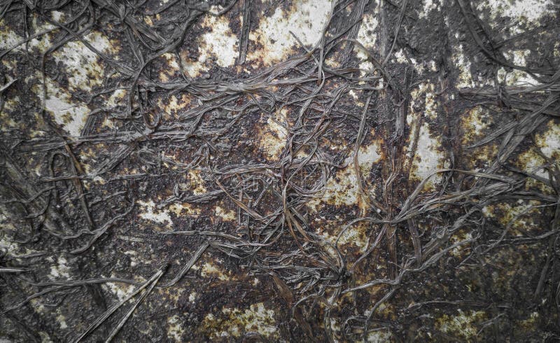 Rust-covered metal surface stock image. Image of brown - 152605827