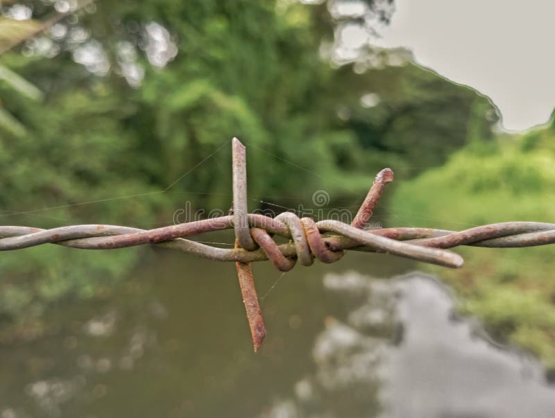 Rust in mettle wire stock photo. Image of mettlewire - 253538014