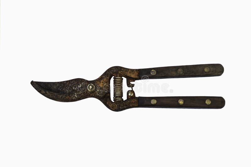 Rust garden Scissors stock photo. Image of steel, rusted - 34381696
