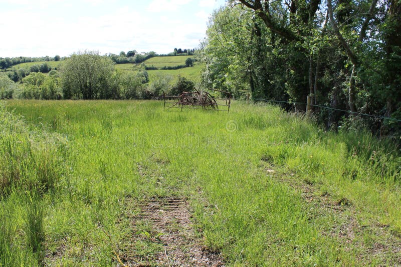 Rust amid green stock photo. Image of scenery, leitrim - 89604798