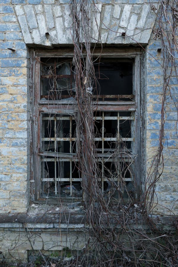 Rust Ivy Old Prison Window Brick Wall Stock Photos - Free & Royalty ...