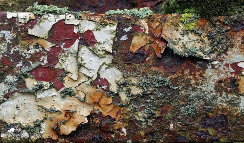 Rust, Lichen and Flaky Paint Stock Photo - Image of flaky, lichen: 59737764