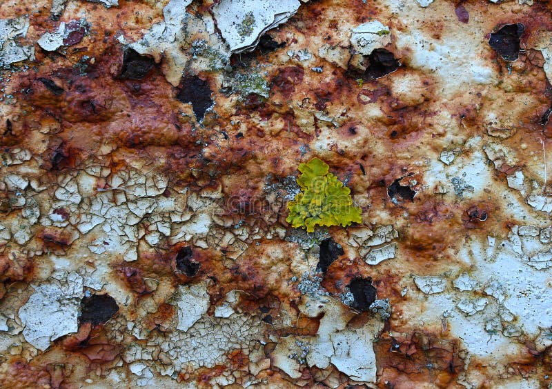 Rust, Lichen and Flaky Paint Stock Photo - Image of growing, flaky ...