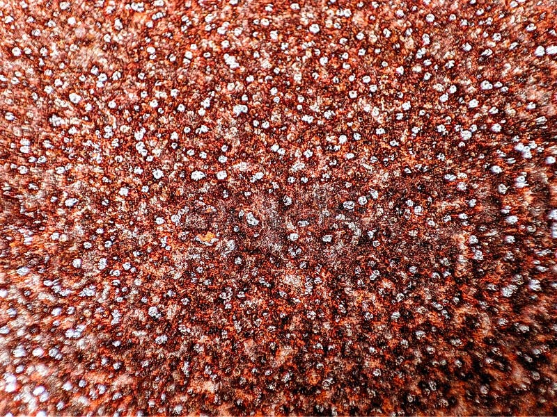 The Rust on the Lid of the Biscuit Tin Looks Close. Background ...