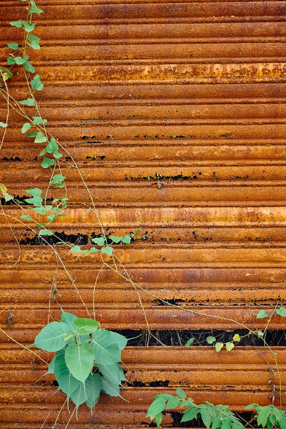 Rust Metal door texture stock image. Image of industrial - 248349123