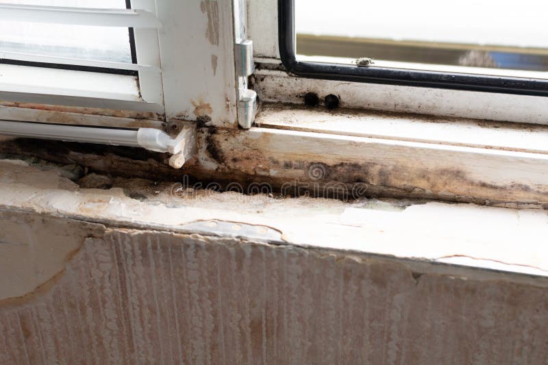 Poor Quality Windows Stock Photos - Free & Royalty-Free Stock Photos ...