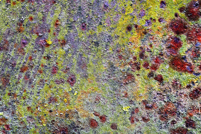 Rust Moss Coating Stains Metal Texture Stock Image - Image of image ...
