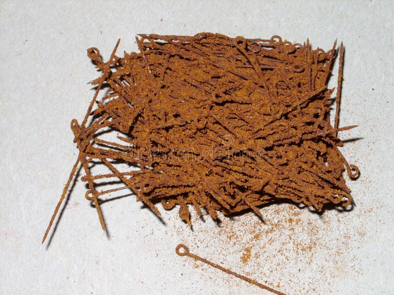 Rust on needles stock image. Image of foliage, decorative - 125604783