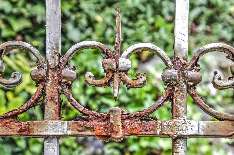Rusty old fence stock image. Image of forest, fence - 119890307
