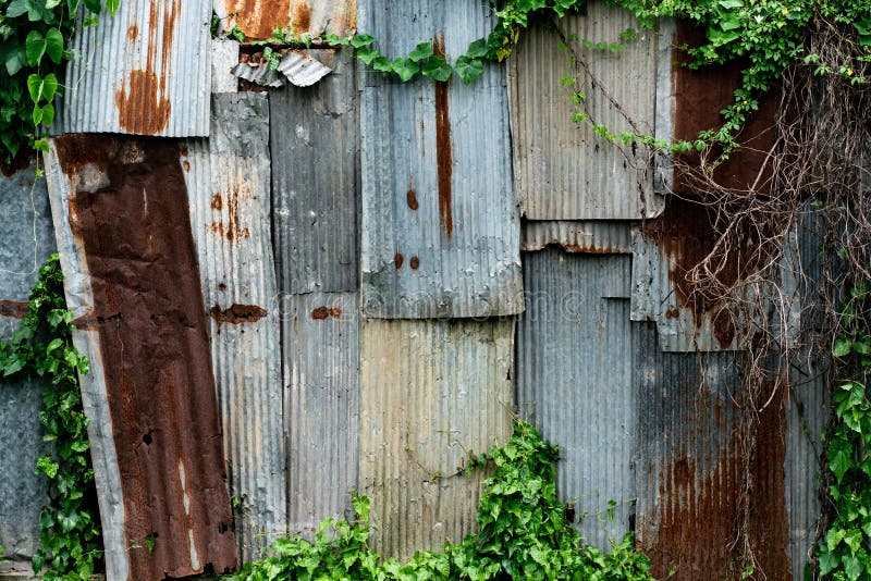 Rust Old Metal Sheet Roof with Green Leaf Plant Stock Photo - Image of ...
