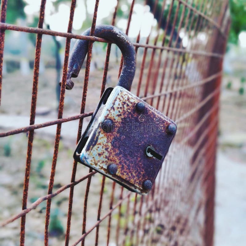 A Rust Padlock in Open Condition Hanging on the Fence Stock Photo ...