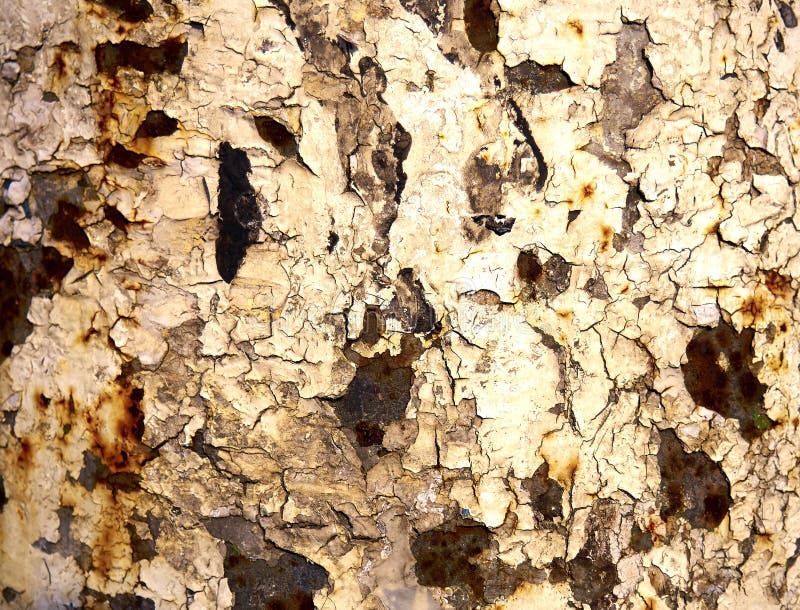 Torn Paper Texture stock image. Image of graphic, dark - 40872051