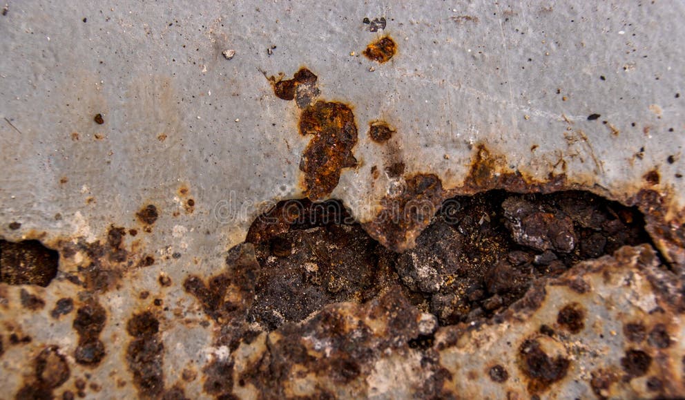 Rust stock photo. Image of rusted, rust, organism, texture - 95758264