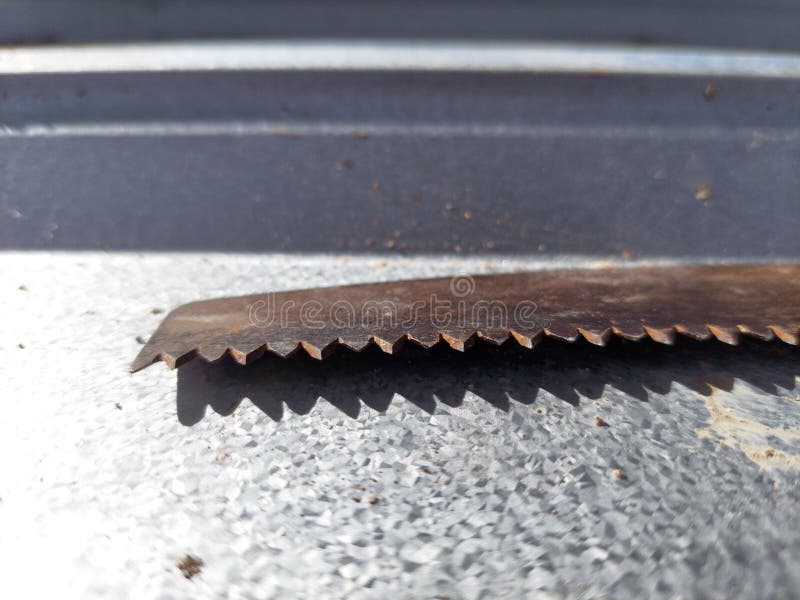 A Rust Saw on a Silver Tray Stock Image - Image of hand, invertebrate ...