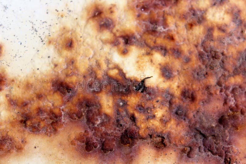 Rust stock photo. Image of metal, rust, yellow, white - 91393244