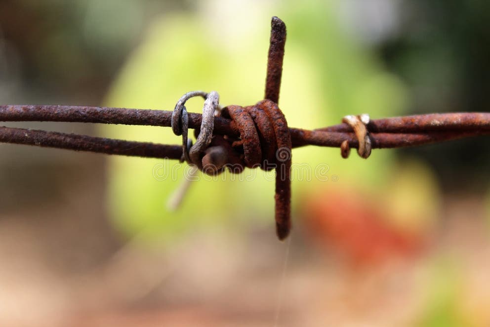 Rust stock photo. Image of textures, twig, yellow, rust - 91393850