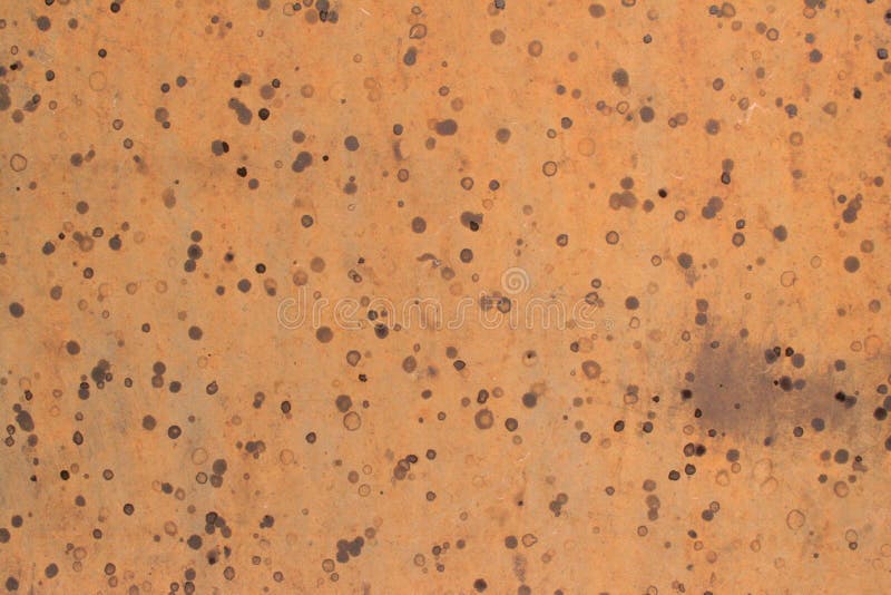 Rust and Spots stock photo. Image of allynn, blank, aging - 696494