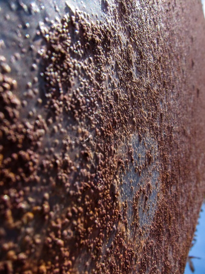 Rust Stained Concrete stock photo. Image of grunge, pattern - 43860778