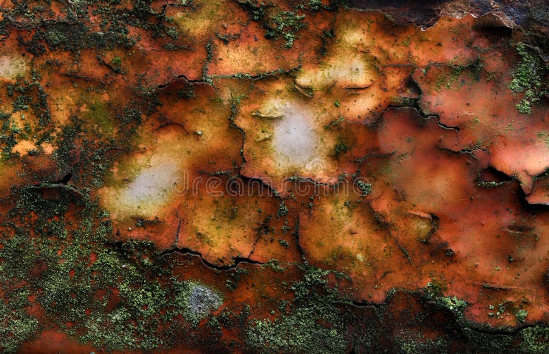 Rust, Lichen and Flaky Paint Stock Photo - Image of growing, flaky ...