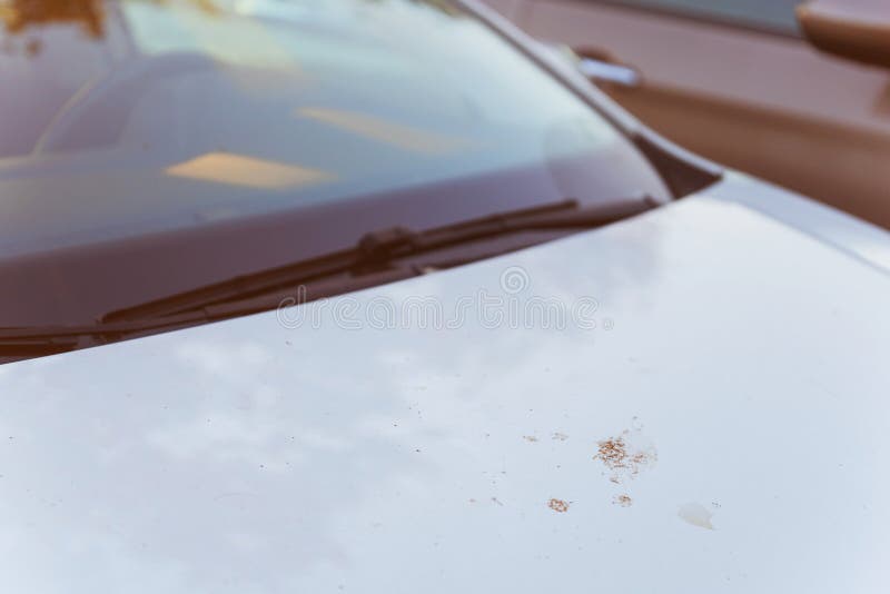 Rust Stains on the Hood of a White Old Car Stock Image - Image of ...