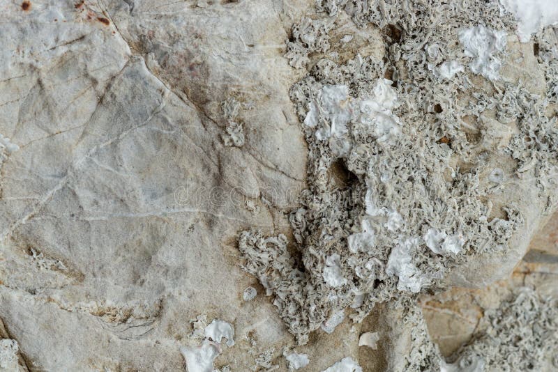 Rock Texture - Rust Coloured Rocks Stock Image - Image of lichen, rock ...