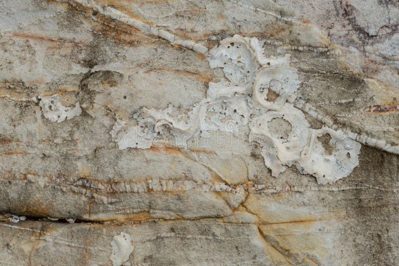 Rust Stone Texture , Rock Texture and Background Stock Photo - Image of ...