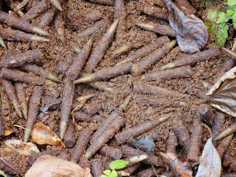 Rust weapon background stock image. Image of finish, rifle - 15523991