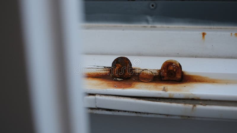 Rust on Window Sills Due To Leaking Rainwater Stock Image - Image of ...