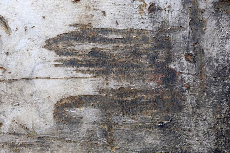 Rust on zinc stock photo. Image of rusty, background - 194258810