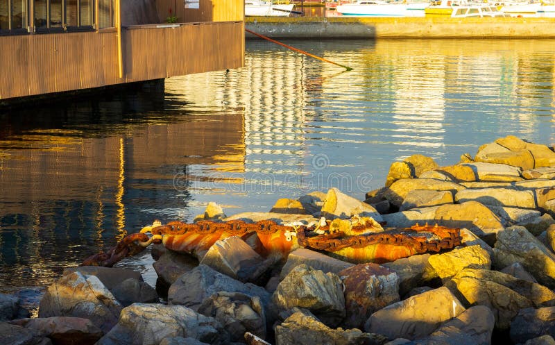 Rusted Boat Chain on Rocks stock photo. Image of water - 324648474