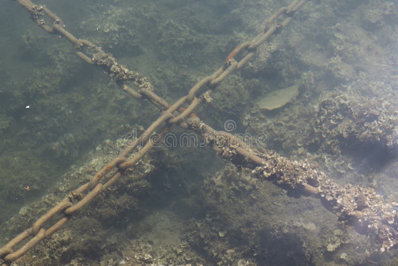 Rusted Chains Underneath the Sea Water at Harbour Stock Image - Image ...