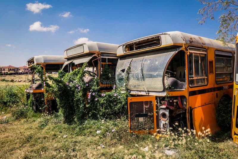 Rusted and Crushed Buses on the Tank Graveyard in Asmara Stock Image ...