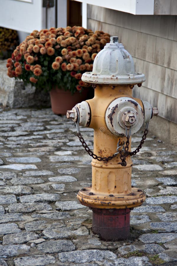Rusted Fire Hydrant on Cobblestone Street. Stock Image - Image of ...