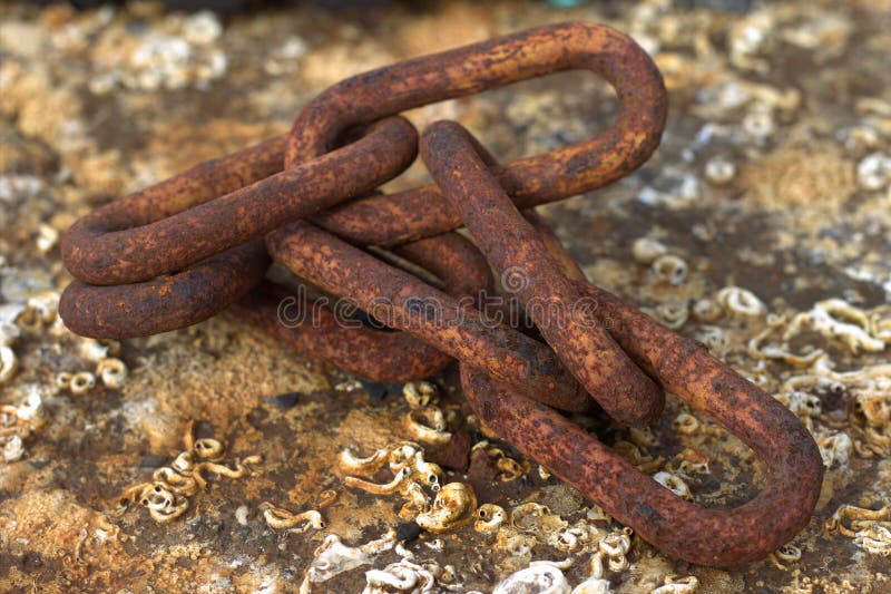 Rusted Iron Gate in an Ancient Brick and Stone Wall Overgrown with ...