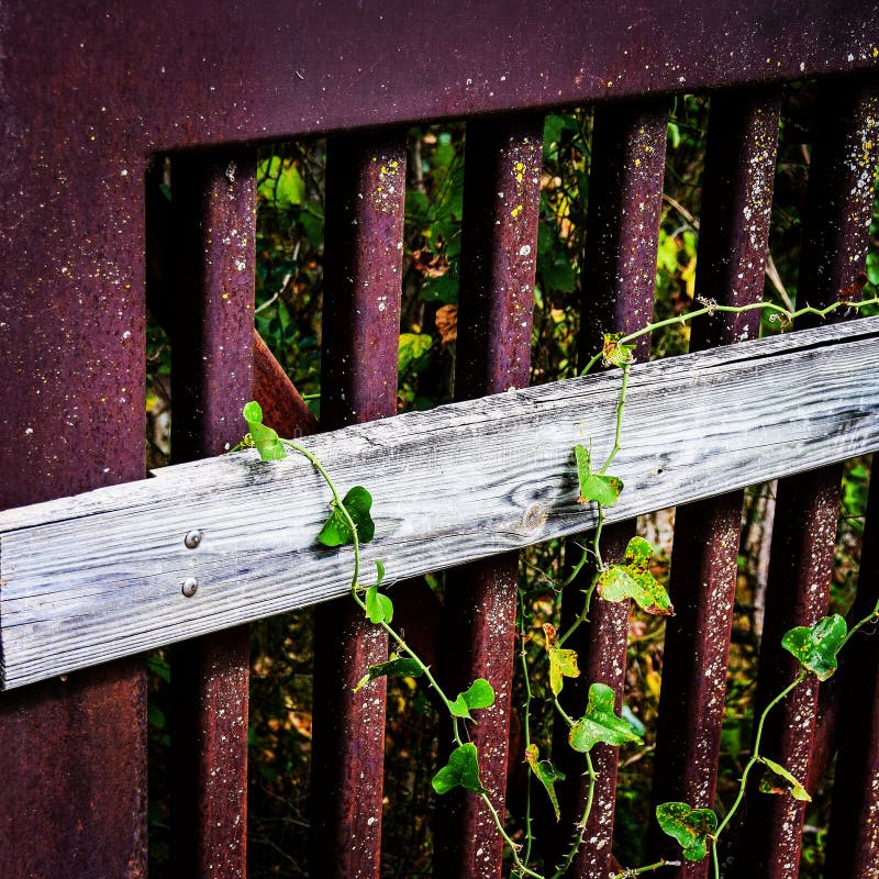Rusted Iron and Wood Bridge Railing Stock Photo - Image of railing ...