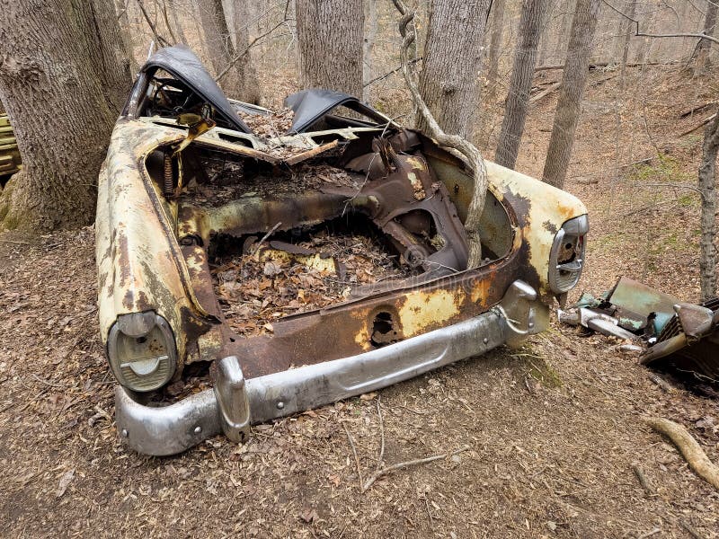 Rusted Junk Car in a Dump Yard Stock Photo - Image of rust, tree: 368350670