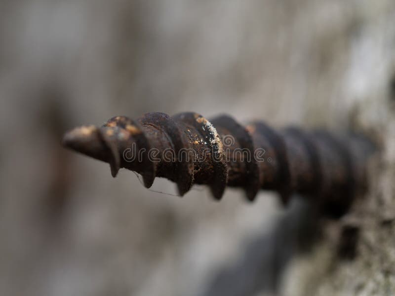 Rusted screw. Macro shot stock photo. Image of macrophotography - 290746748