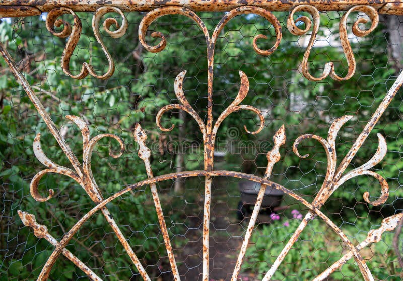 Rusted White Iron Gate To a Green Garden Stock Photo - Image of garden ...