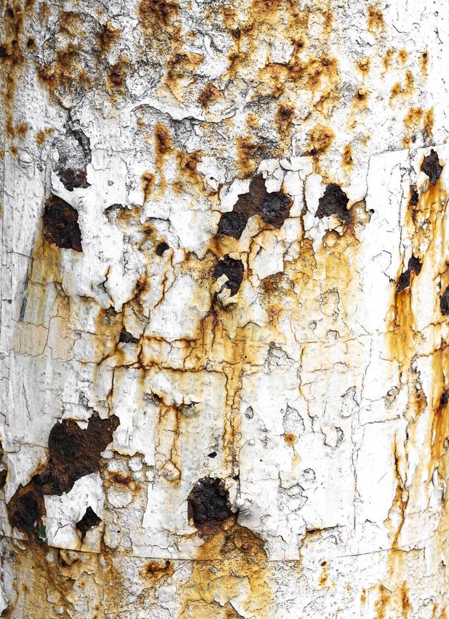 Rusted White Painted Metal Grunge Texture Stock Image - Image of rust ...