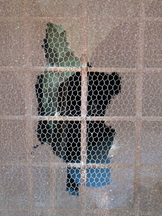 Torn Window Screen Stock Photos - Download 47 Royalty Free Photos